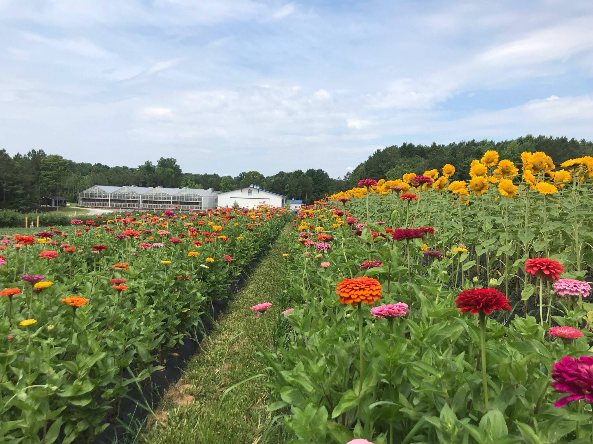 Gallery - Eno River Farm