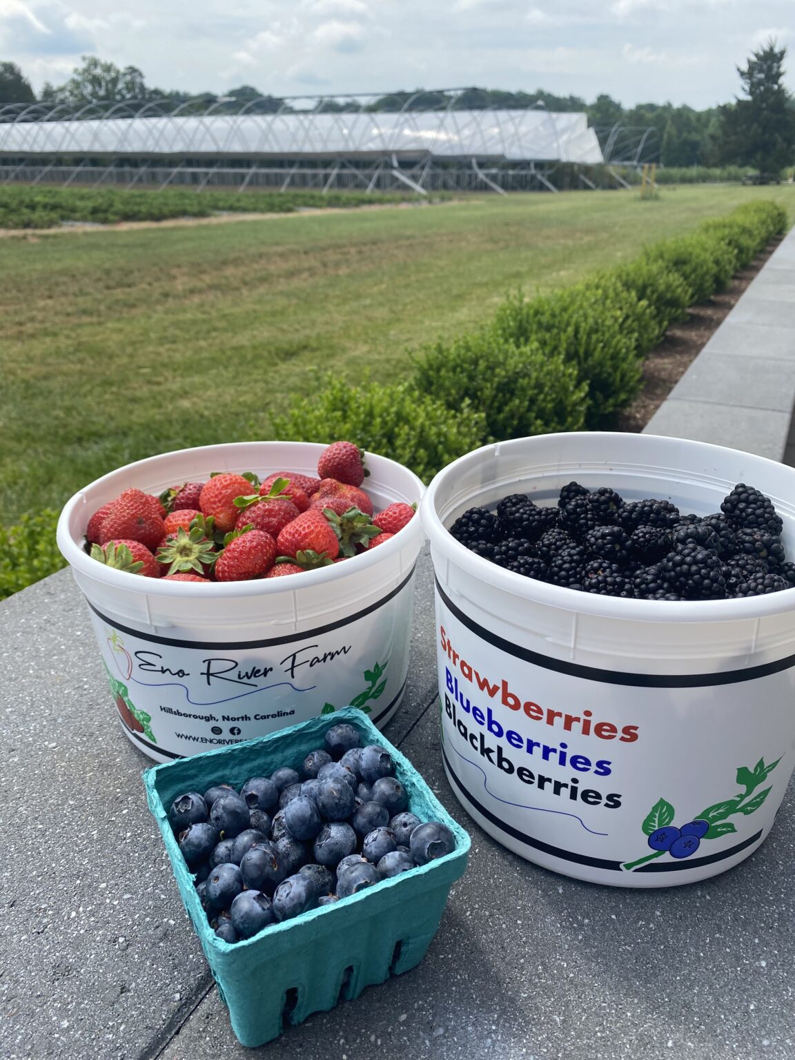 Gallery - Eno River Farm