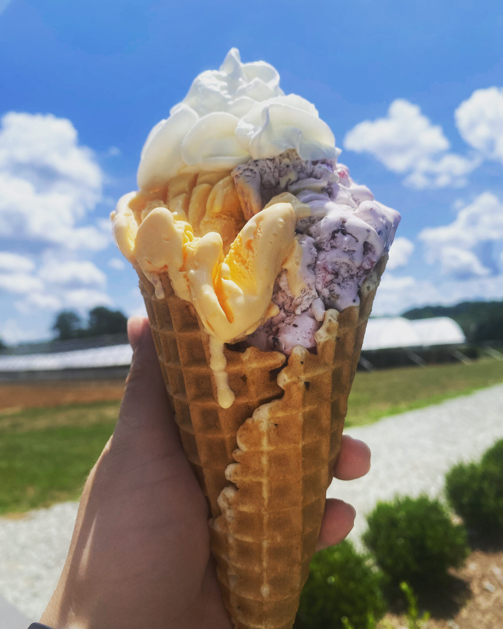 Gallery - Eno River Farm